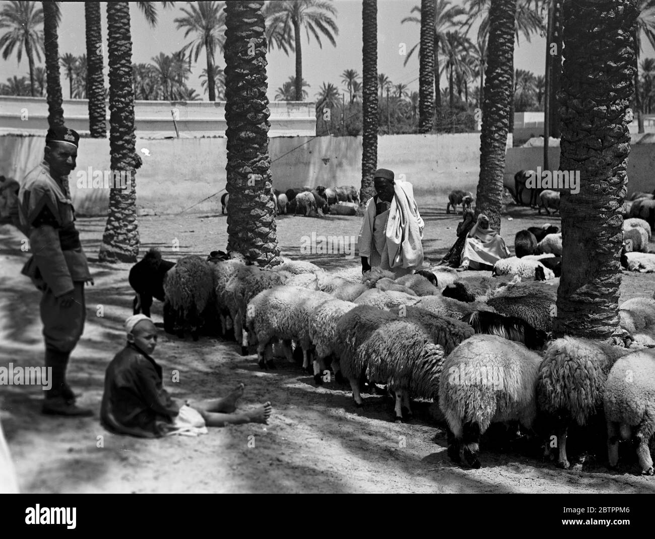 1930s libyan hi-res stock photography and images - Alamy
