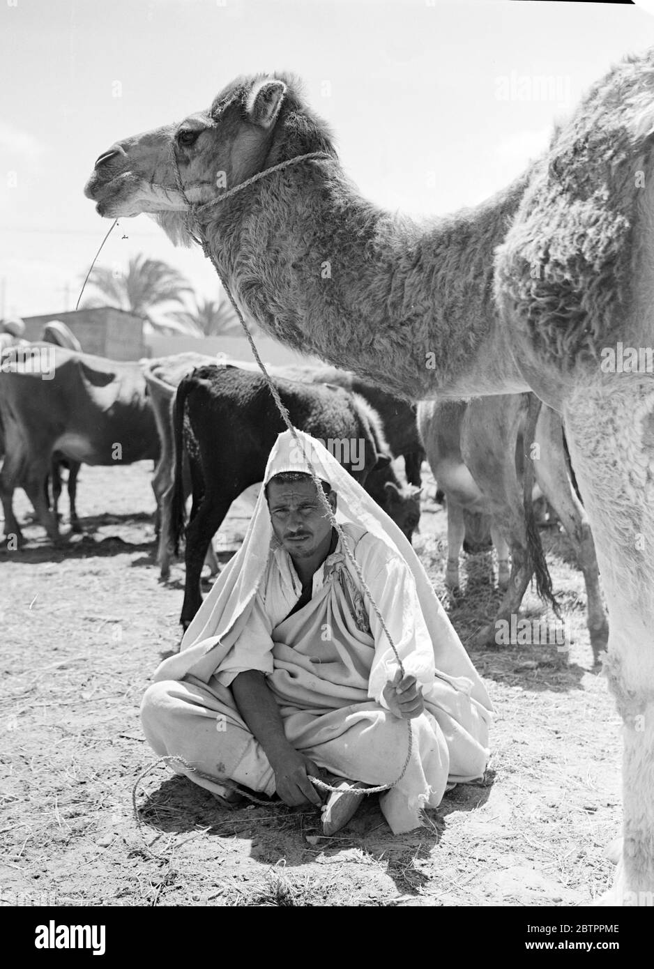 1930s libyan hi-res stock photography and images - Alamy