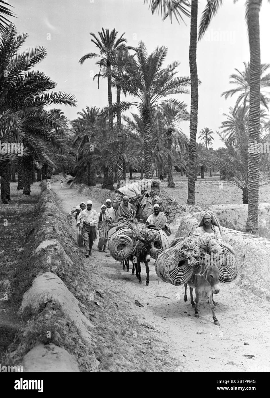 1930s libyan hi-res stock photography and images - Alamy