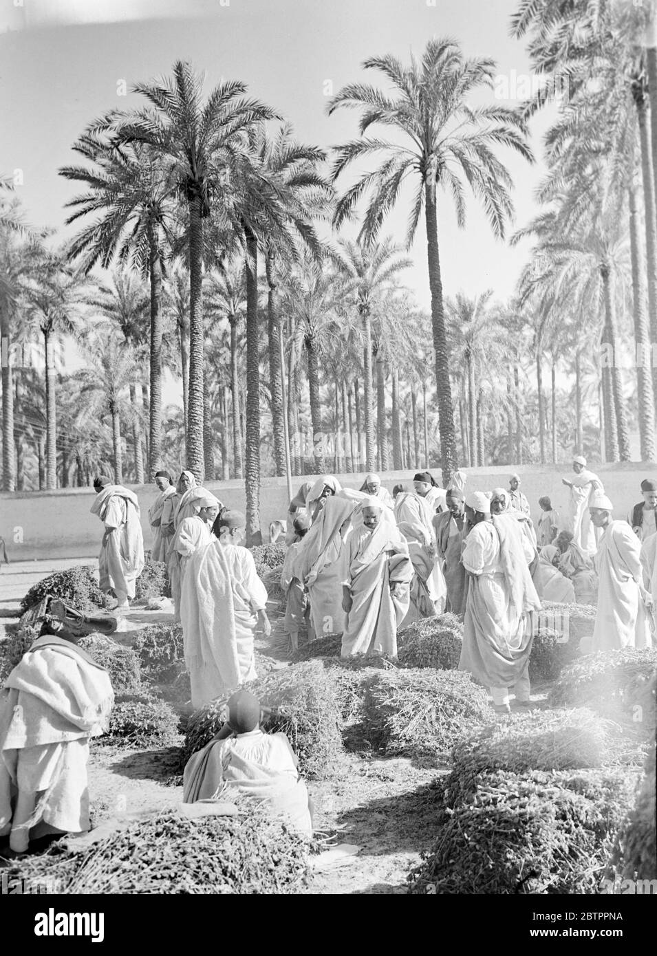1930s libyan hi-res stock photography and images - Alamy