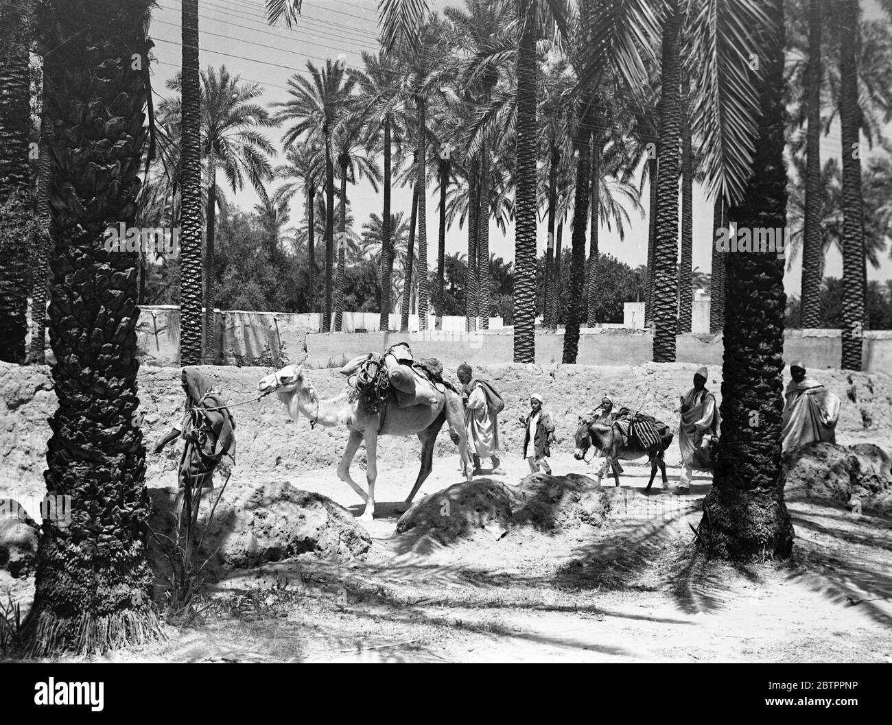 1930s libyan hi-res stock photography and images - Alamy