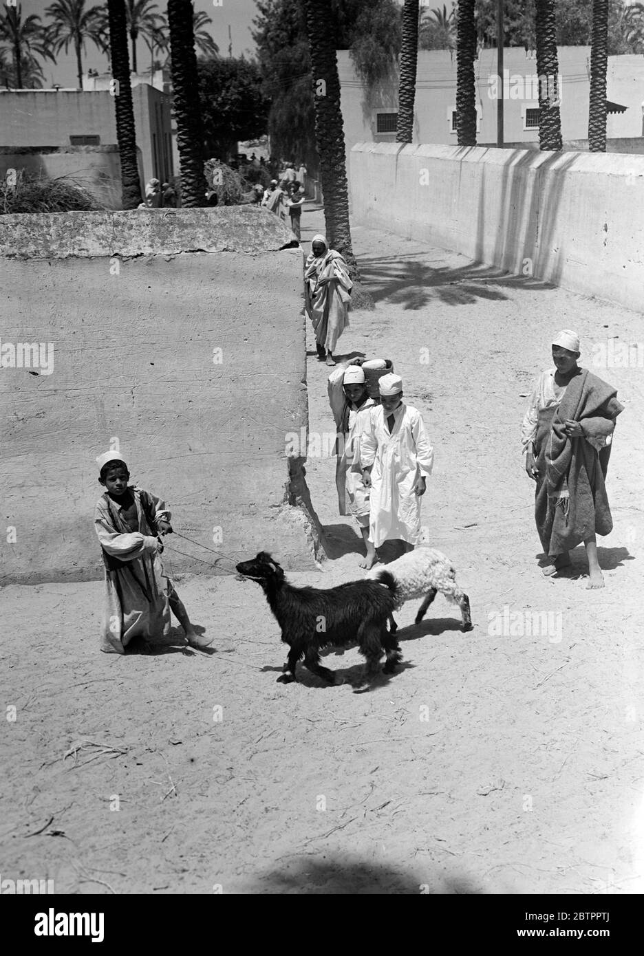 1930s libyan hi-res stock photography and images - Alamy