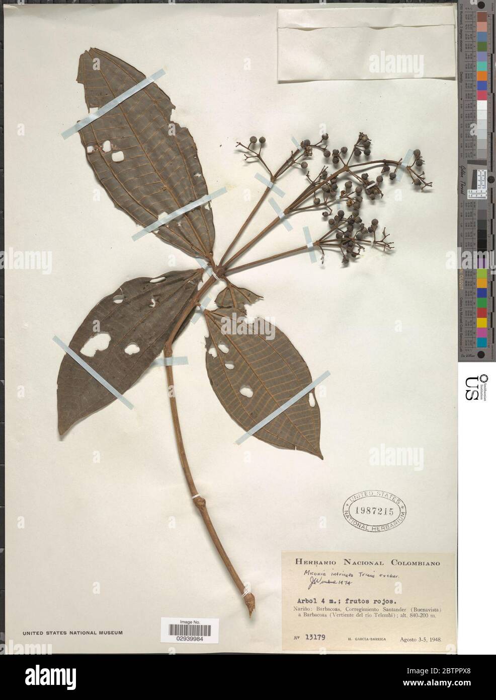 Intricata High Resolution Stock Photography and Images - Alamy