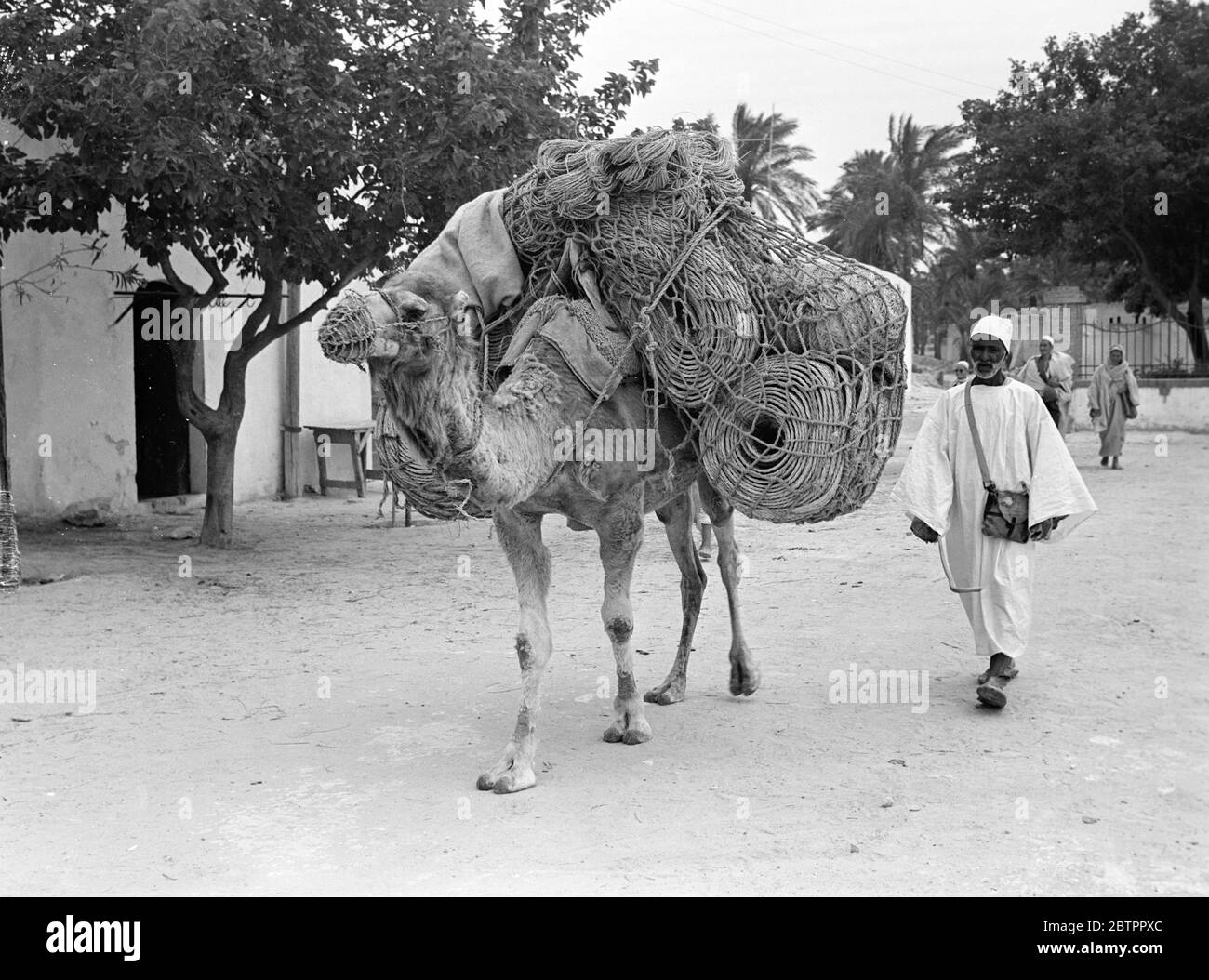 1930s libyan hi-res stock photography and images - Alamy