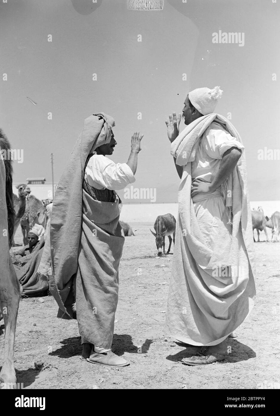 1930s libyan hi-res stock photography and images - Alamy