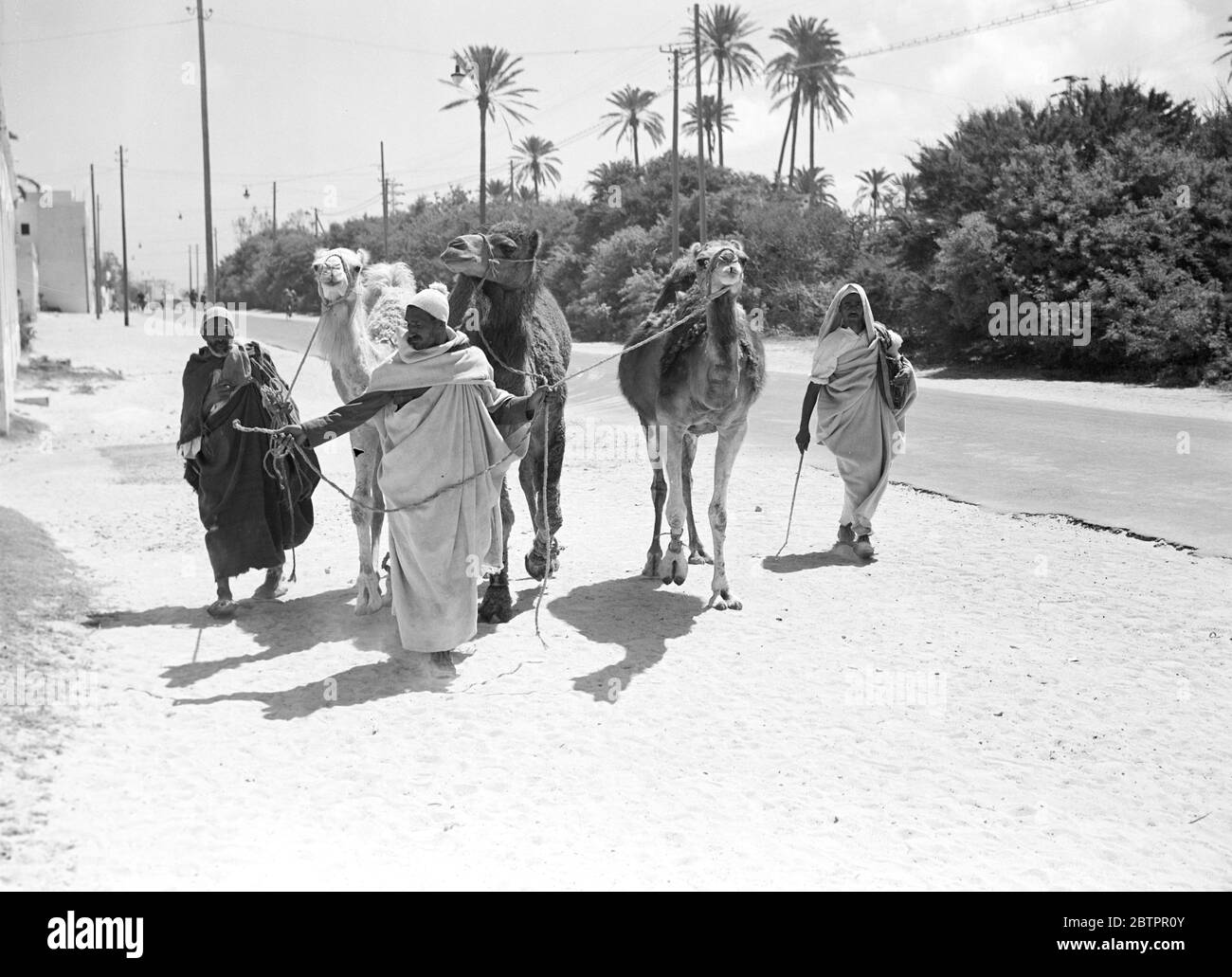 1930s libyan hi-res stock photography and images - Alamy