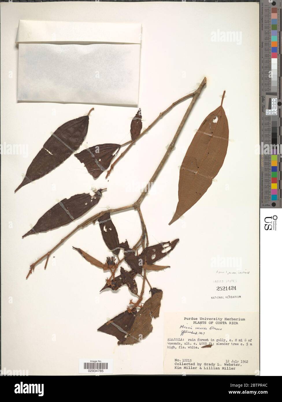 Incurva hi-res stock photography and images - Alamy