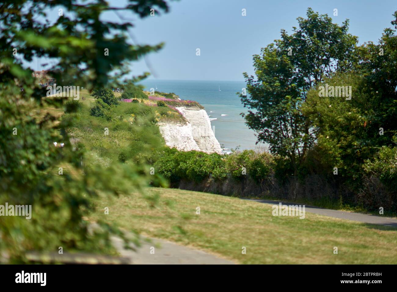 Forest in the path with the white cliff and the sea Stock Photo - Alamy