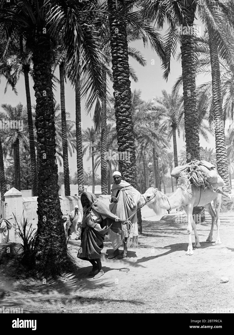 1930s libyan hi-res stock photography and images - Alamy