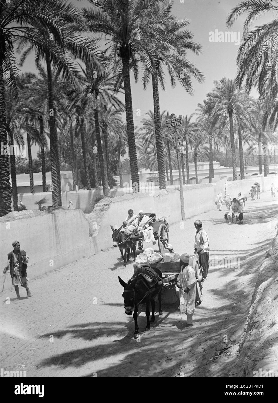1930s libyan hi-res stock photography and images - Alamy