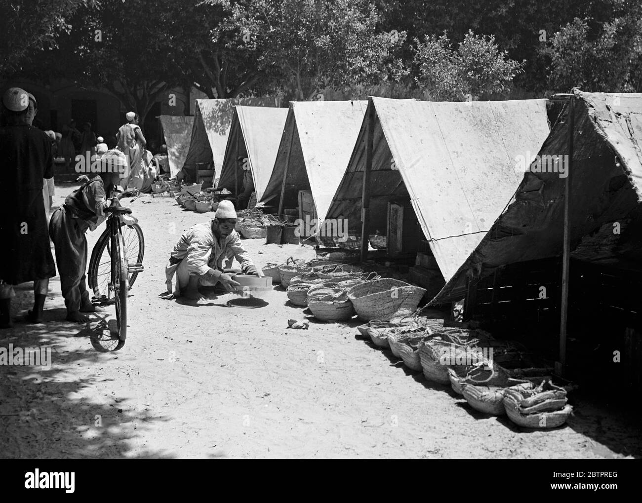 1930s libyan hi-res stock photography and images - Alamy