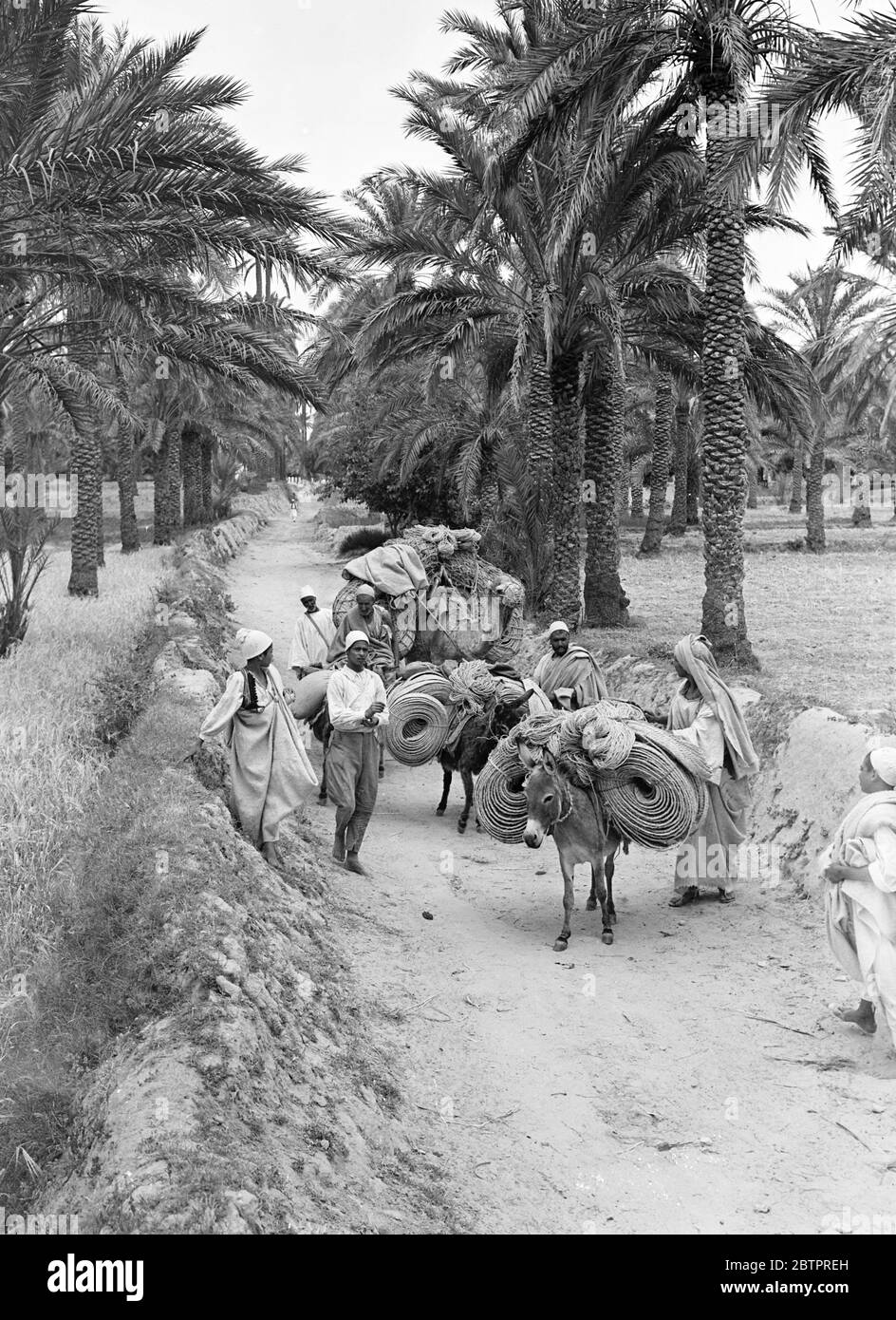 1930s libyan hi-res stock photography and images - Alamy