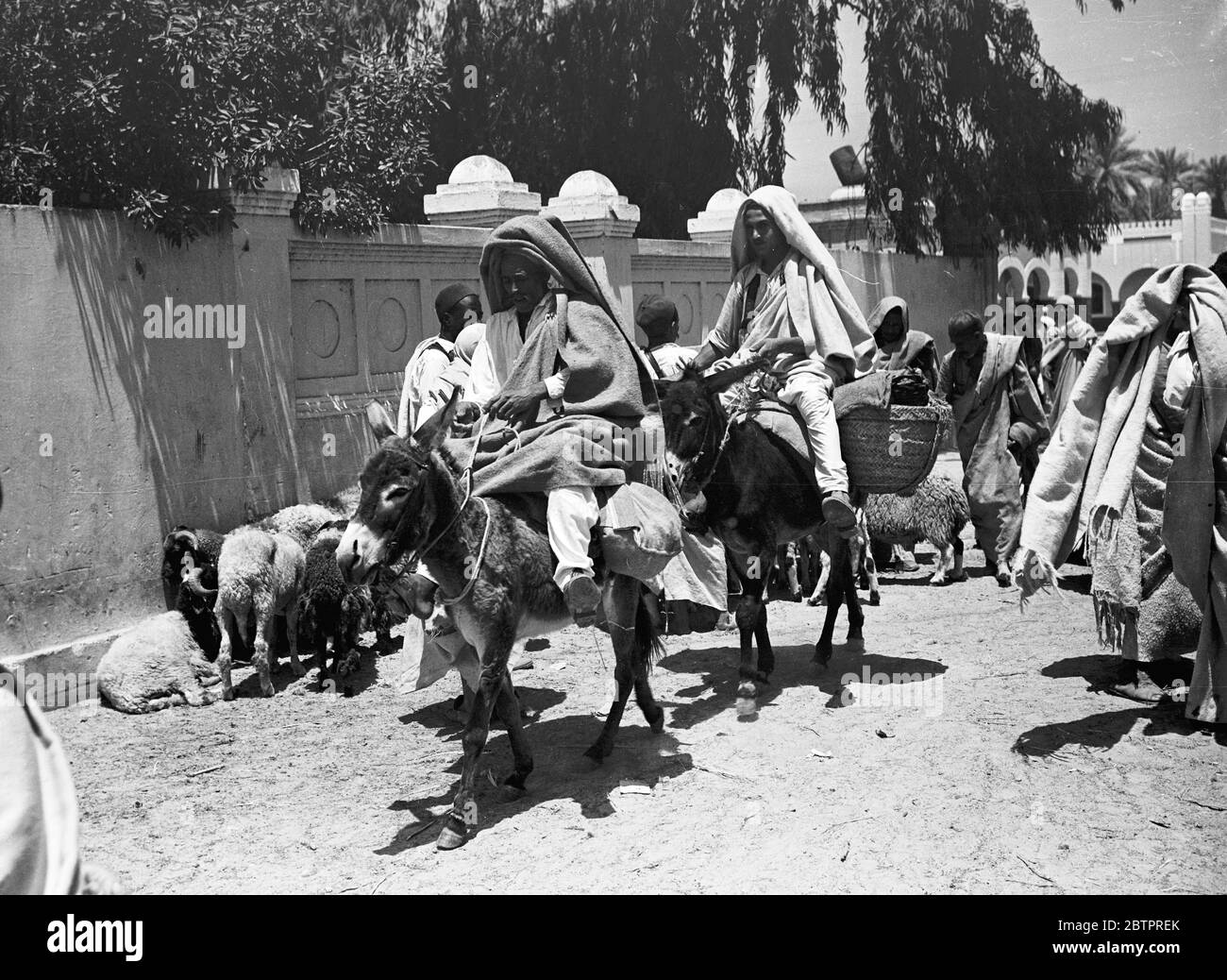 1930s libyan hi-res stock photography and images - Alamy