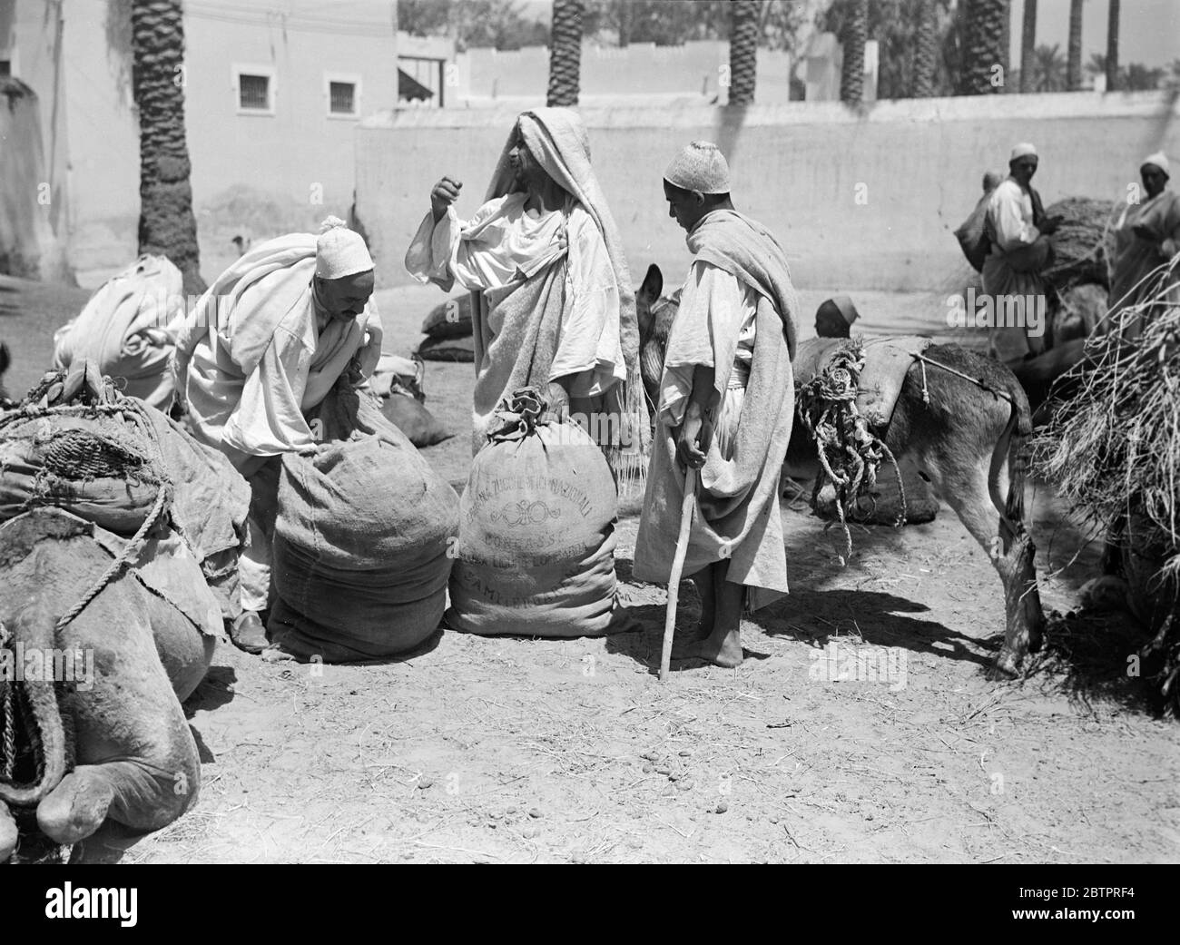 1930s libyan hi-res stock photography and images - Alamy