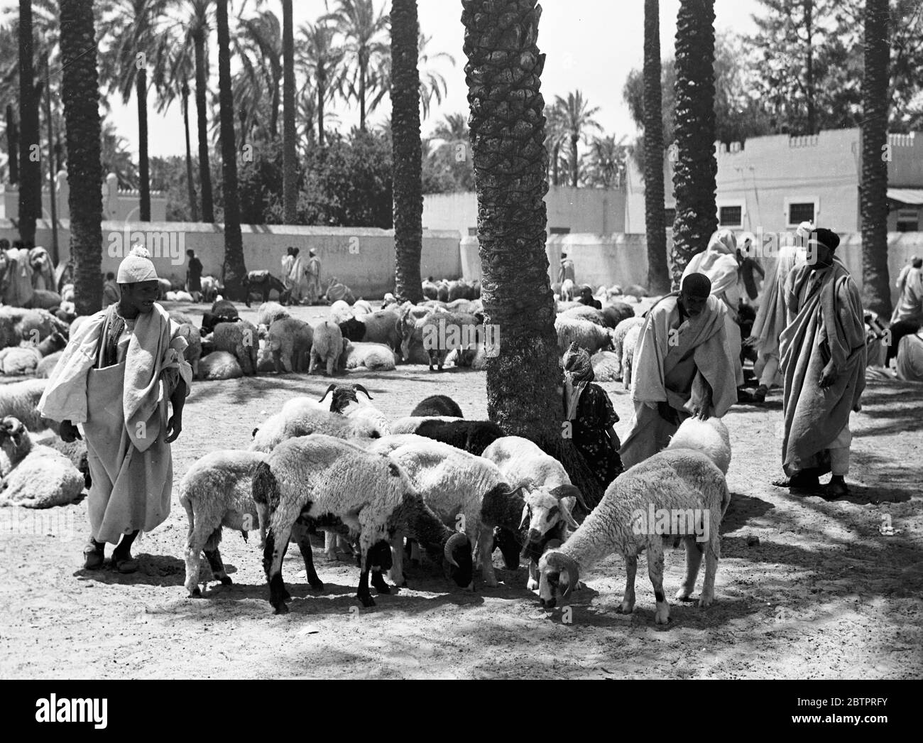 1930s libyan hi-res stock photography and images - Alamy