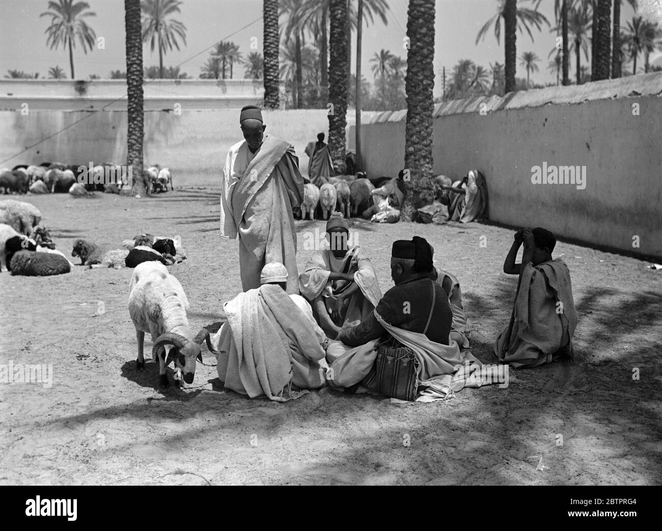 Libyan history hi-res stock photography and images - Alamy