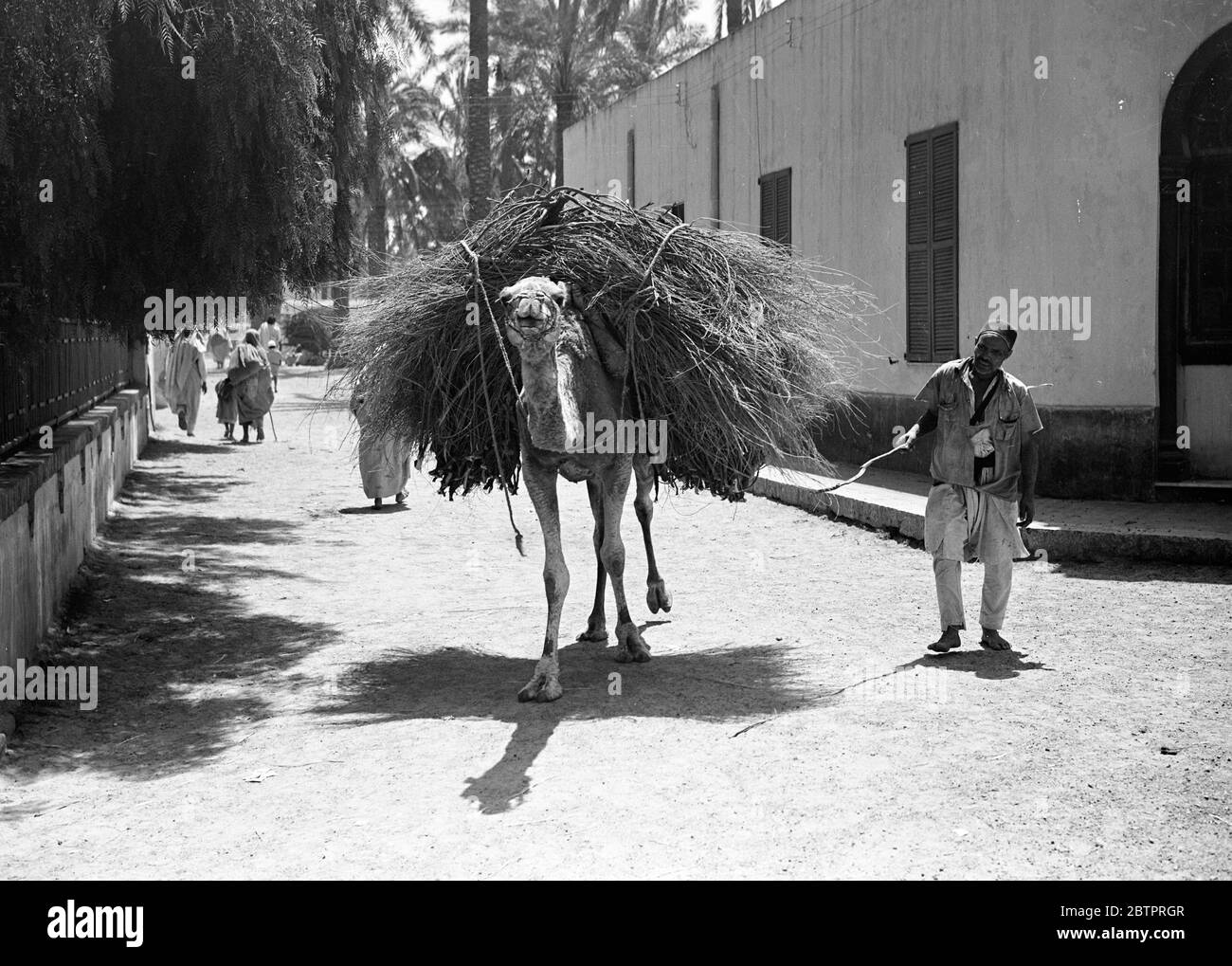 1930s libyan hi-res stock photography and images - Alamy