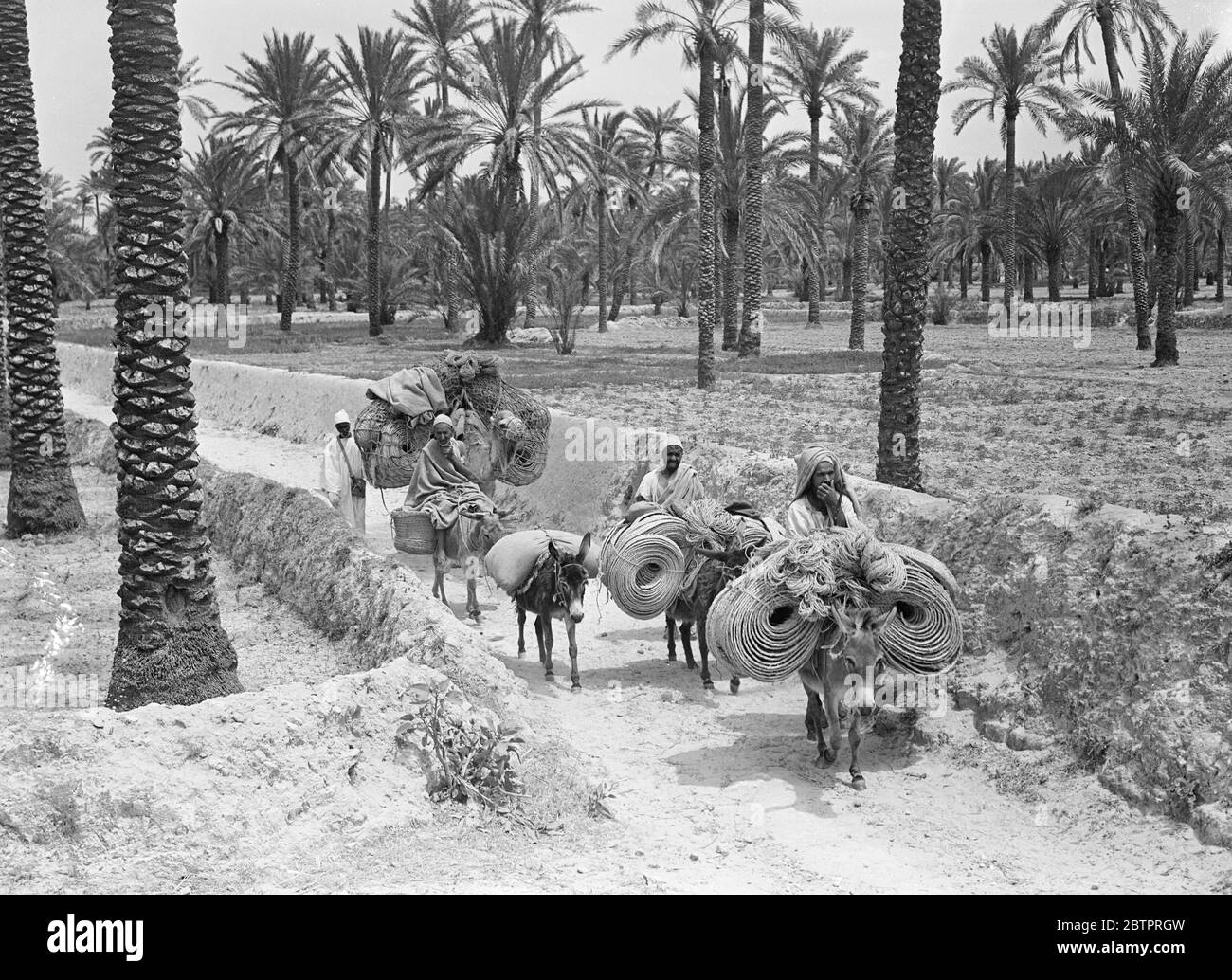 1930s libyan hi-res stock photography and images - Alamy