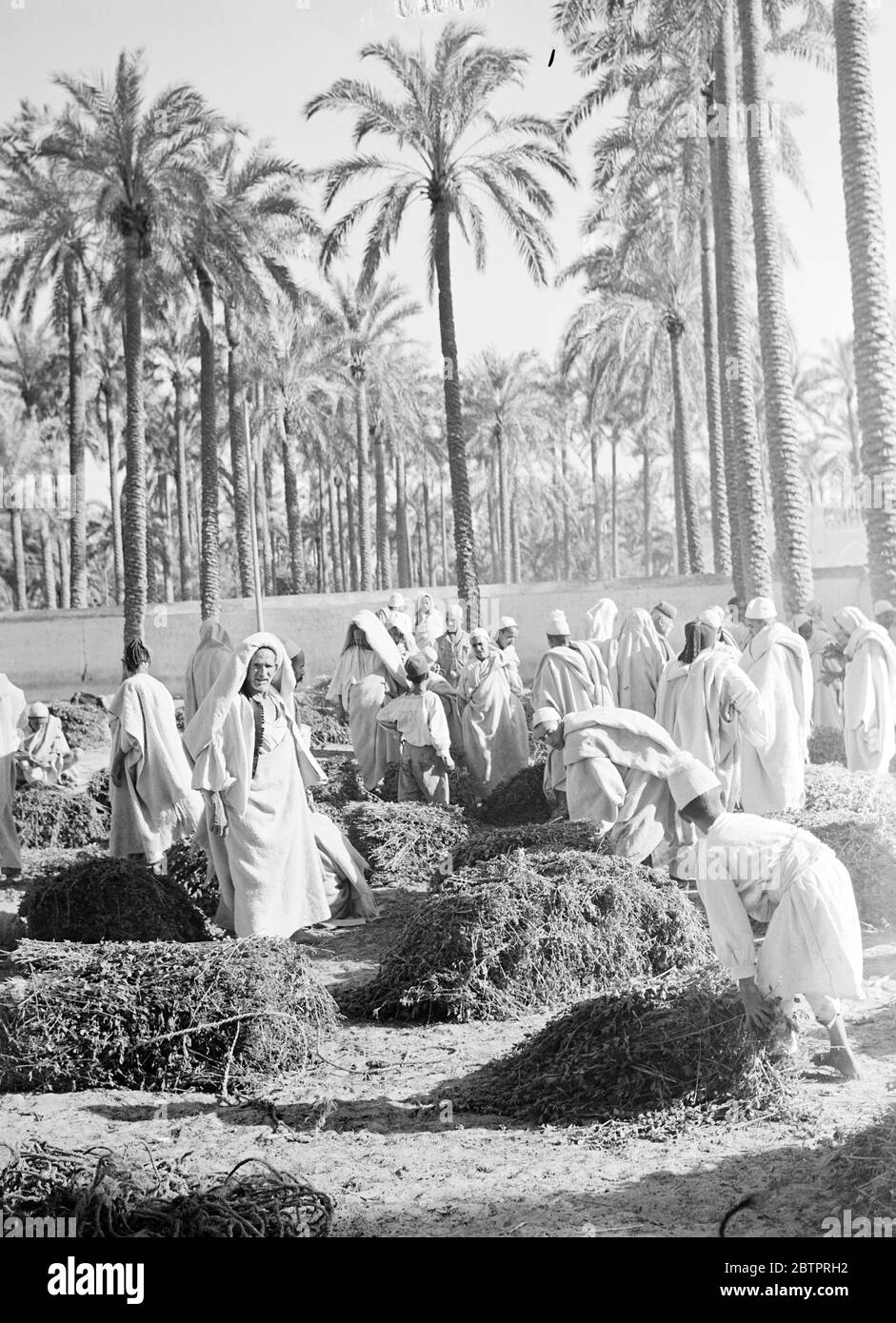 1930s libyan hi-res stock photography and images - Alamy