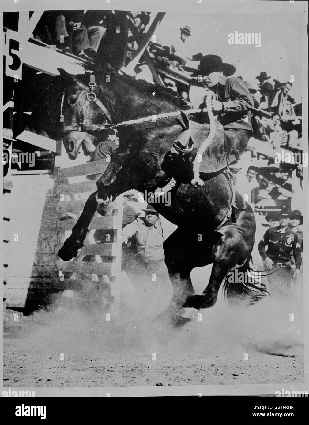 Hes hi-res stock photography and images - Alamy