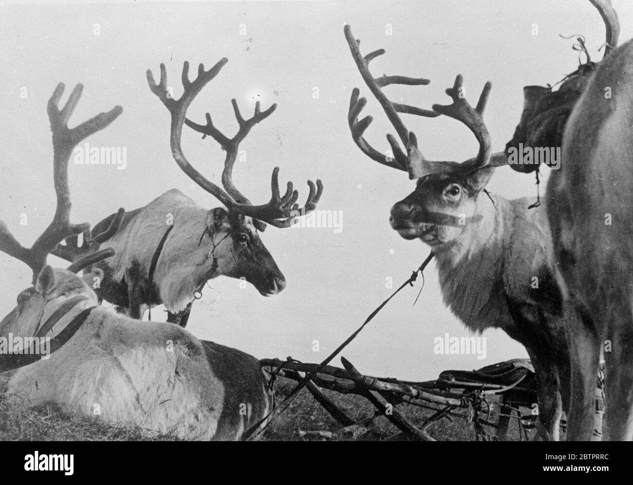 Primitive land Black and White Stock Photos & Images - Alamy