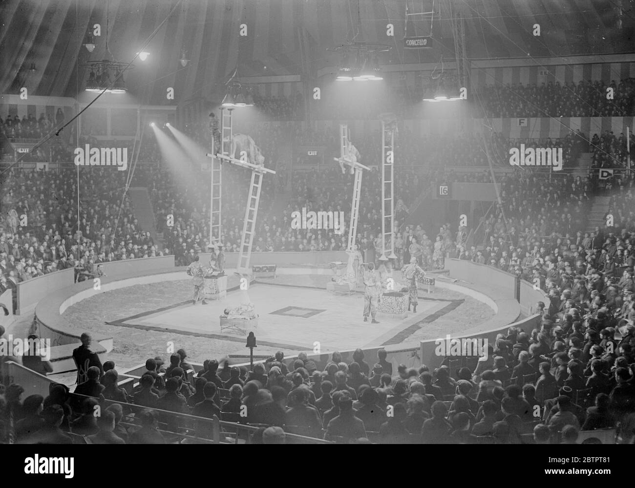 Dress rehearsal of Olympia Circus. At the final dress rehearsal of Mr ...