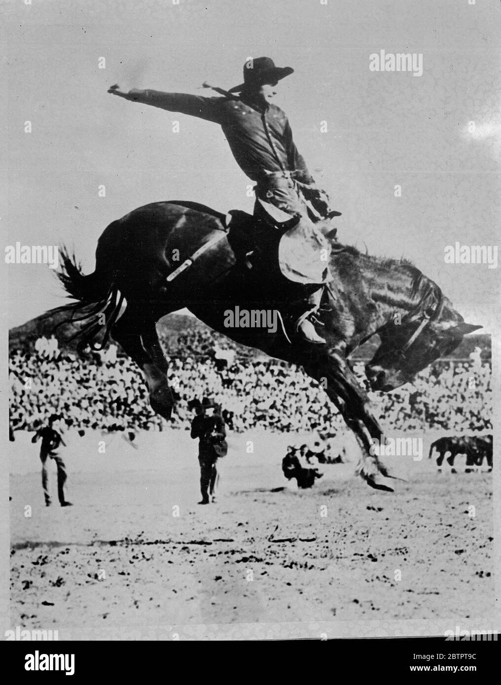 Mussolini horse hi-res stock photography and images - Alamy