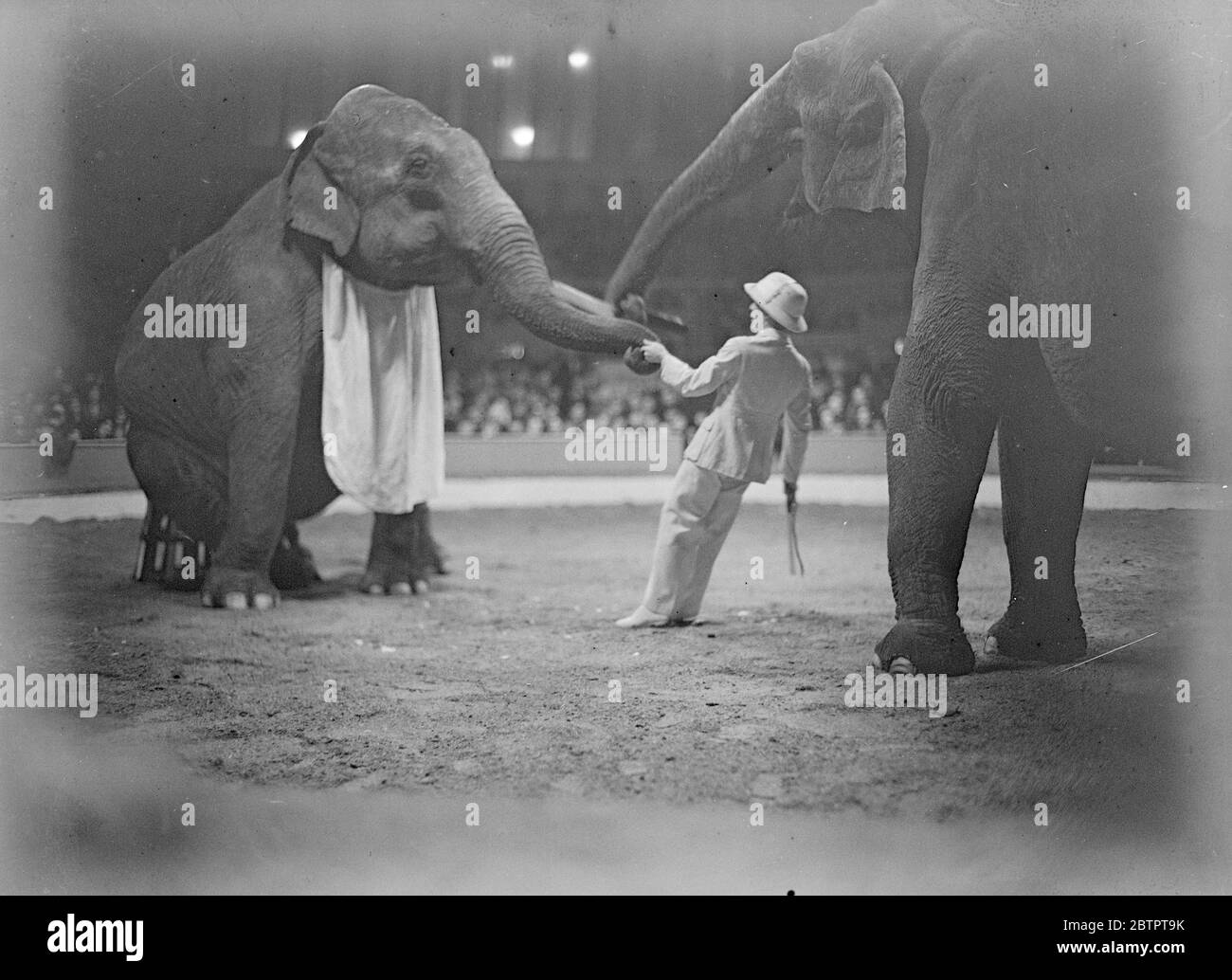 Dress rehearsal of Olympia Circus. At the final dress rehearsal of Mr ...