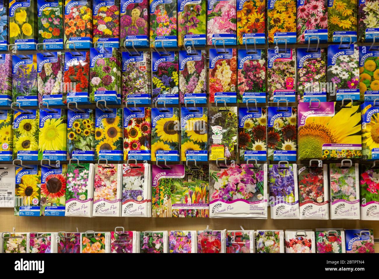 Seed packet display in a British garden centre, UK Stock Photo - Alamy