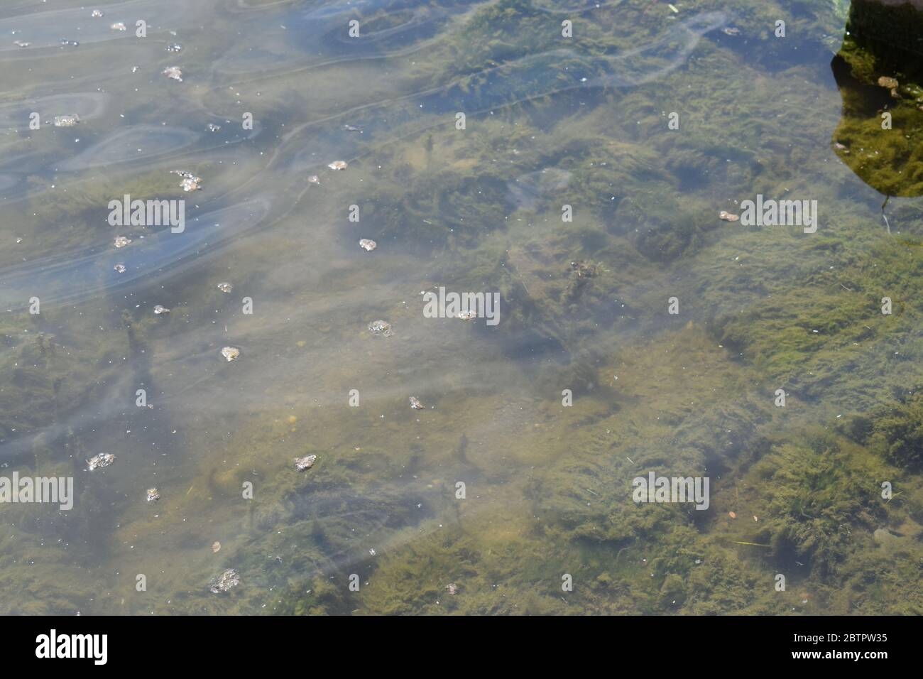 Village of clearwater hi-res stock photography and images - Alamy