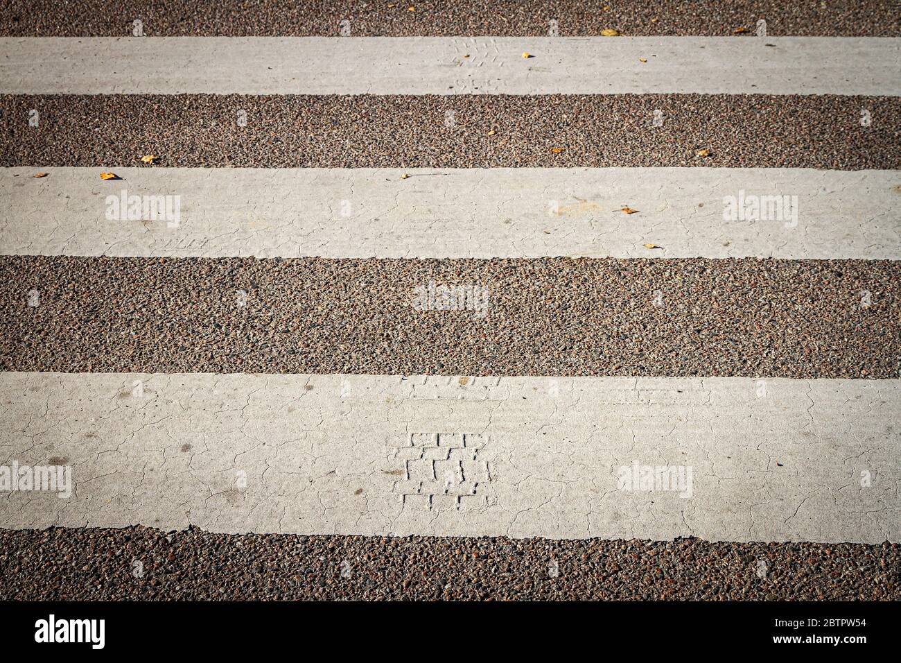 Pedestrian zebra crossing on asphalt road. Road safety concept Stock ...