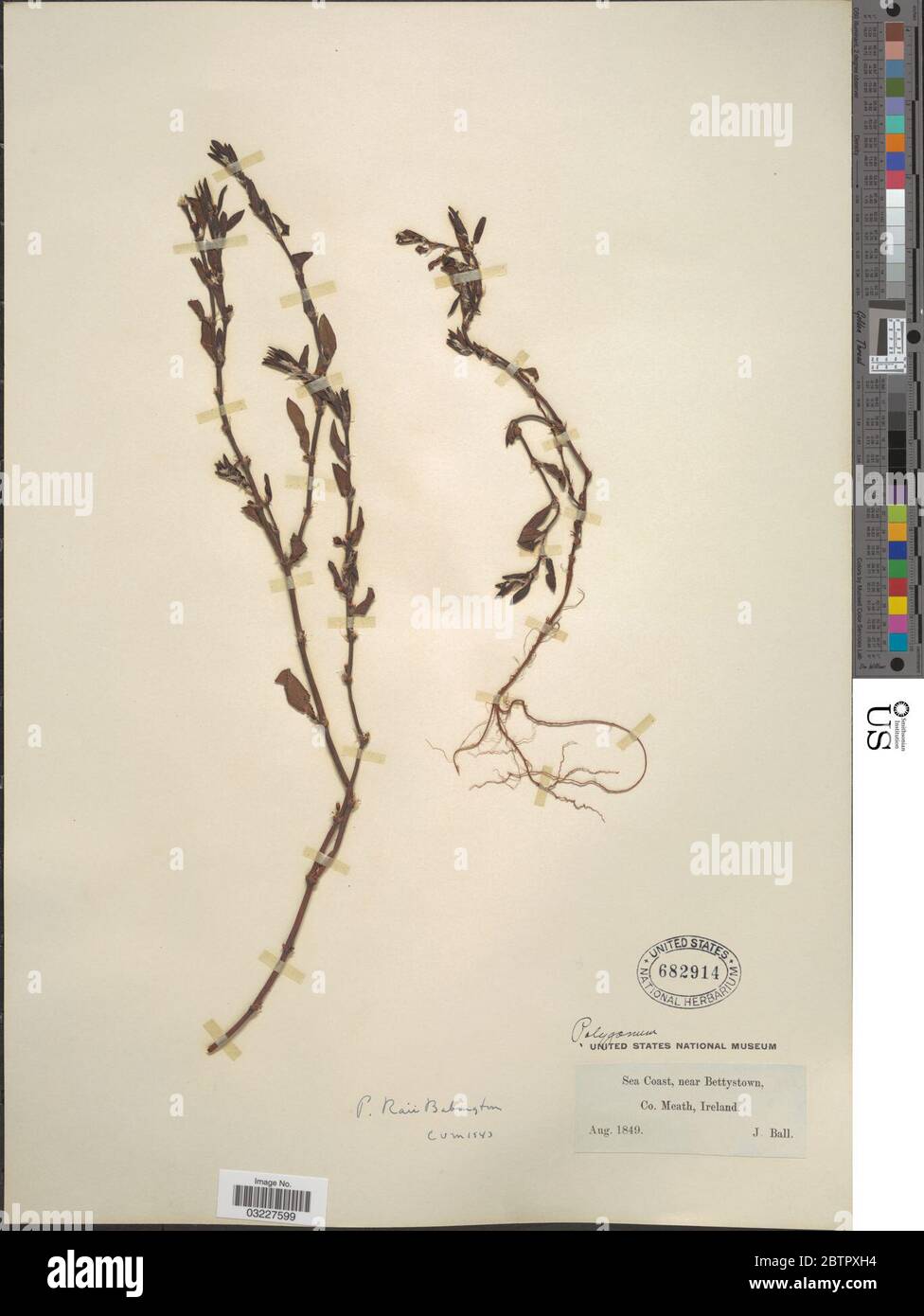 Bab u hi-res stock photography and images - Alamy