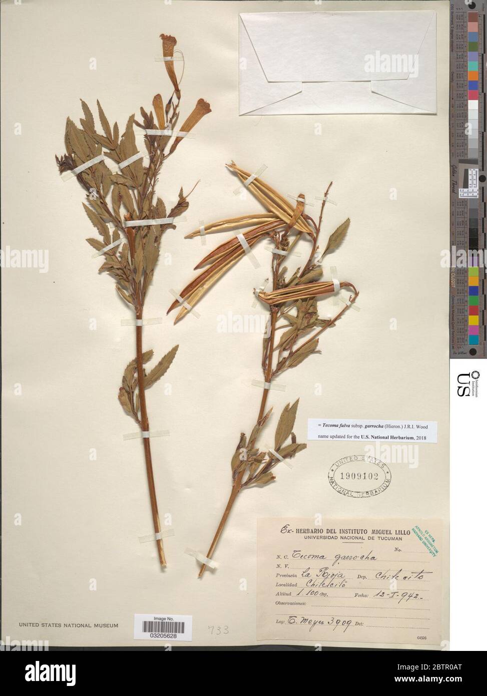 Garrocha hi-res stock photography and images - Alamy