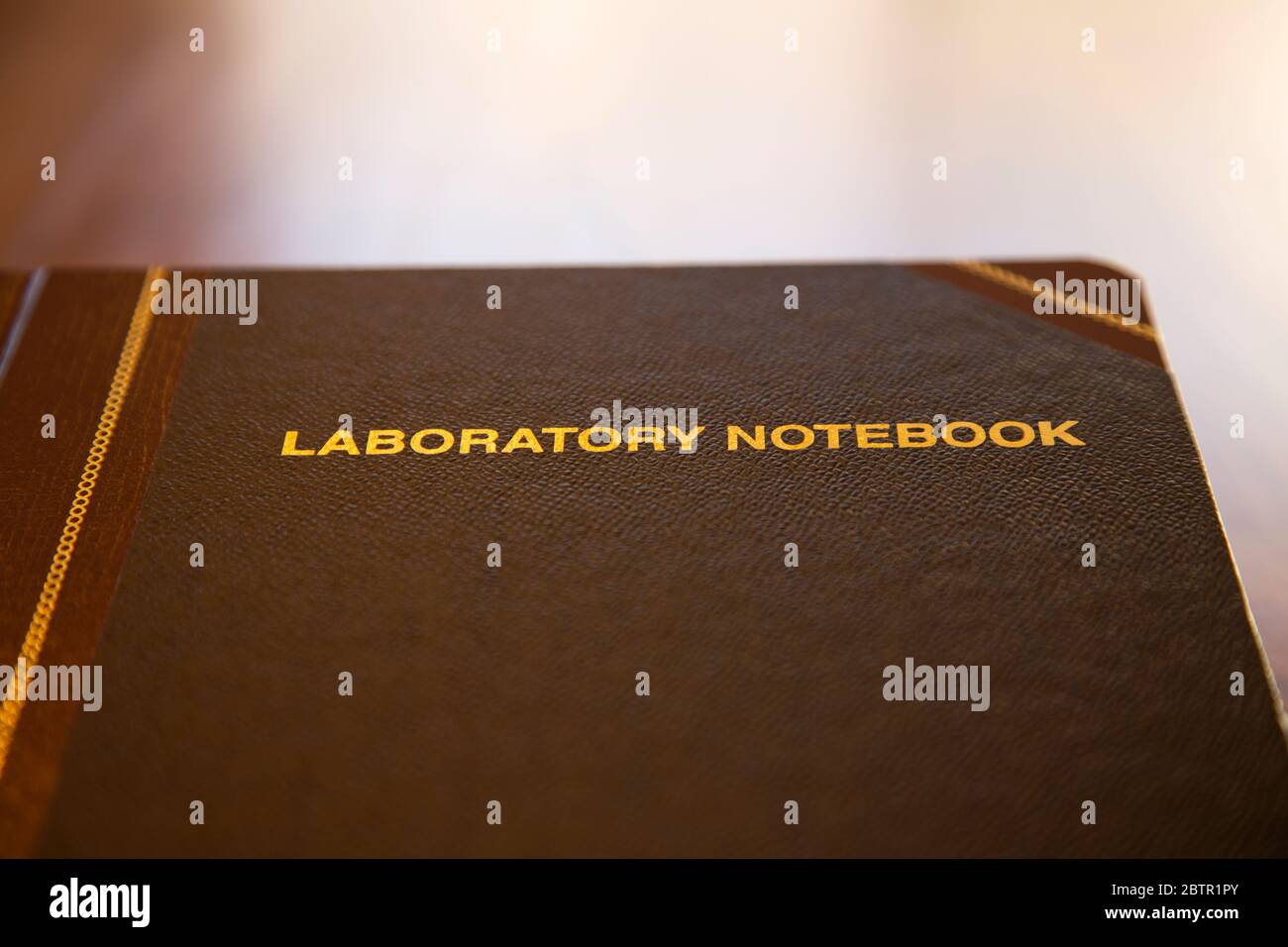Elegant presentation of scientific laboratory notebook of data and ...