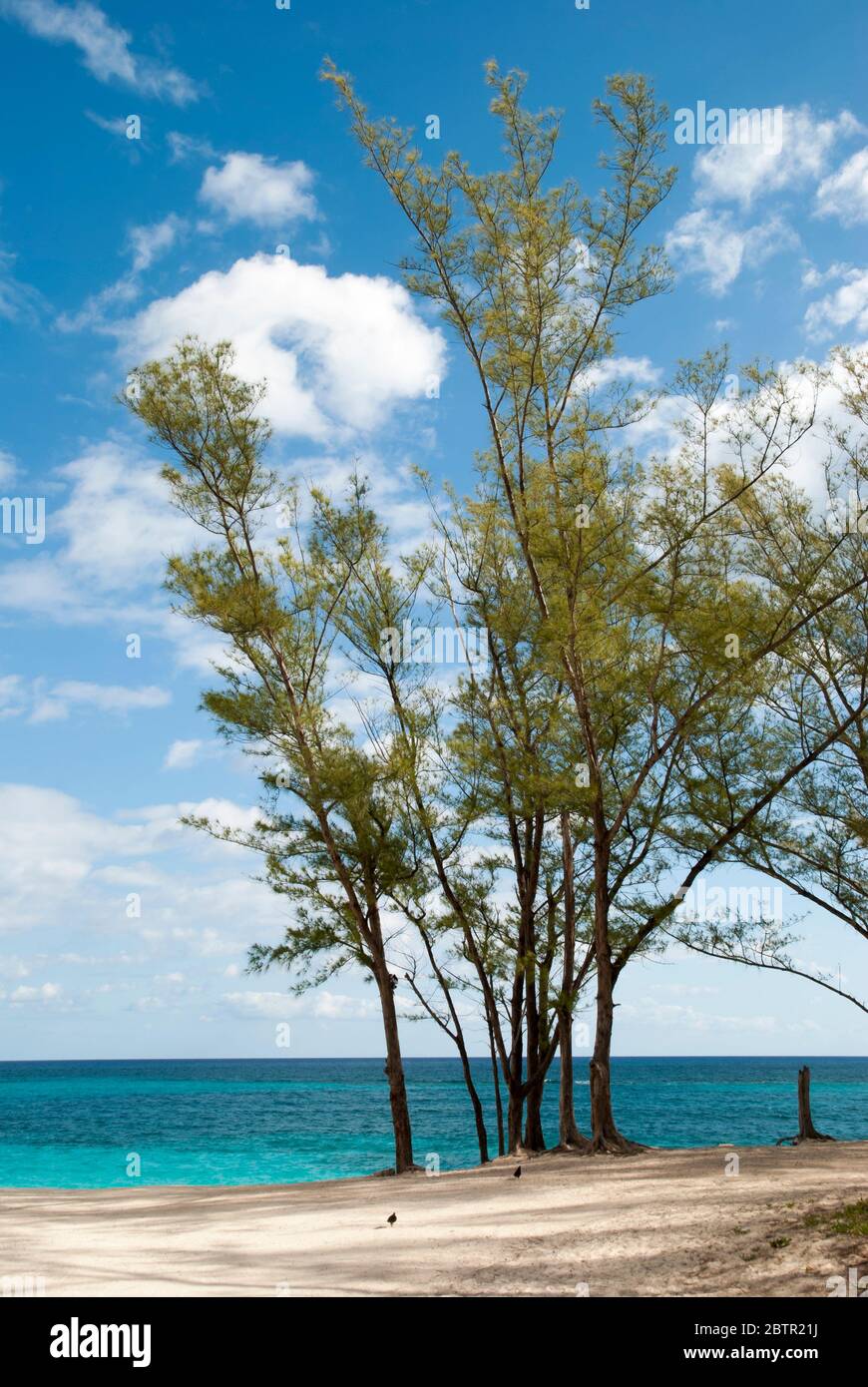Public bahamas caribbean hi-res stock photography and images - Alamy