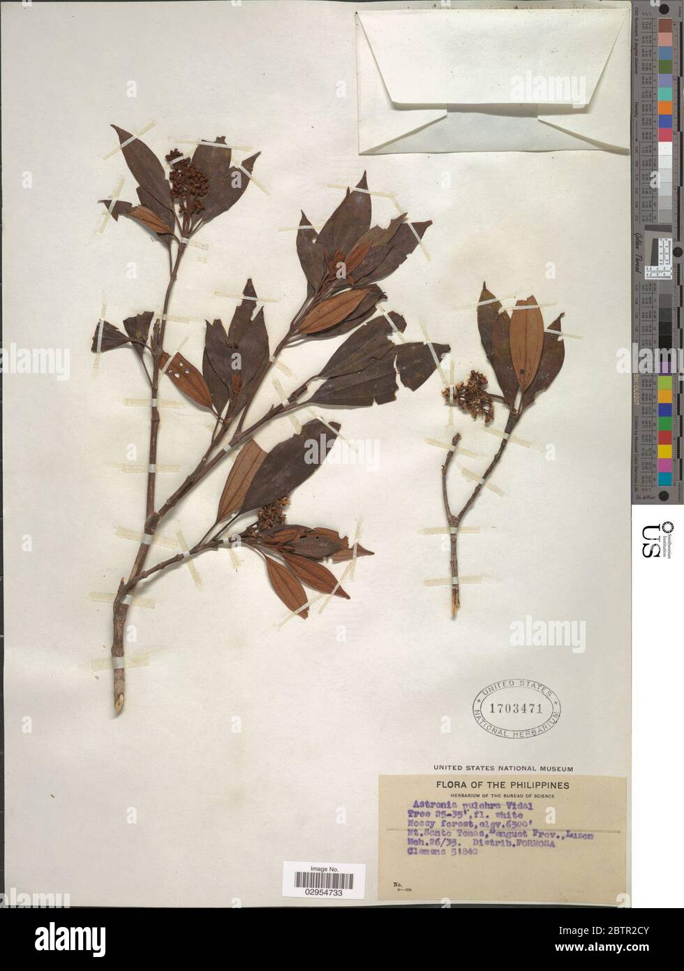 U s national herbarium hi-res stock photography and images - Alamy
