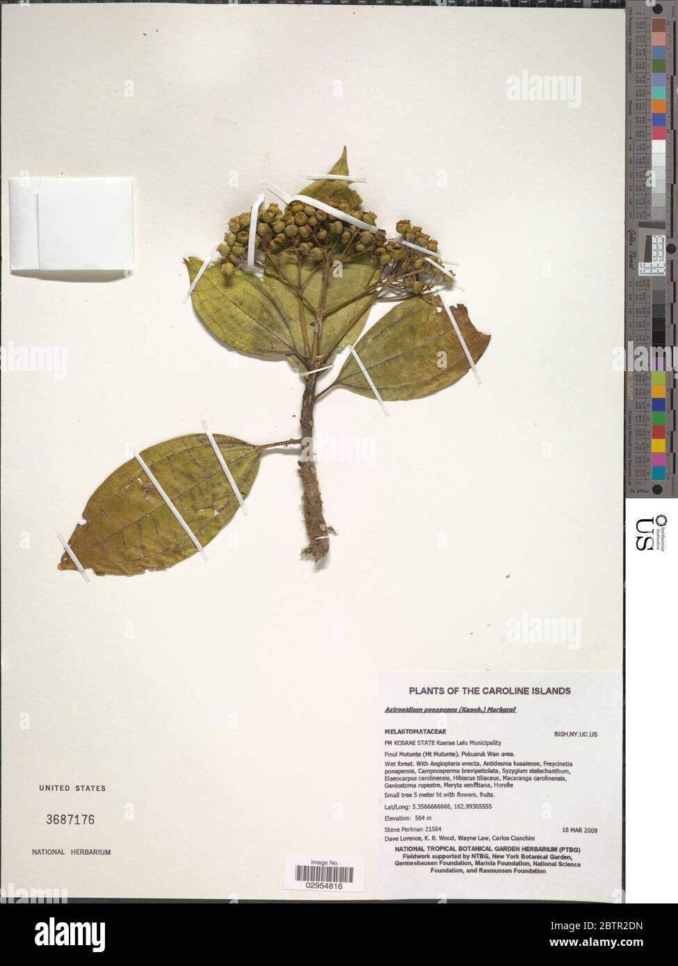 Kaneh hi-res stock photography and images - Alamy