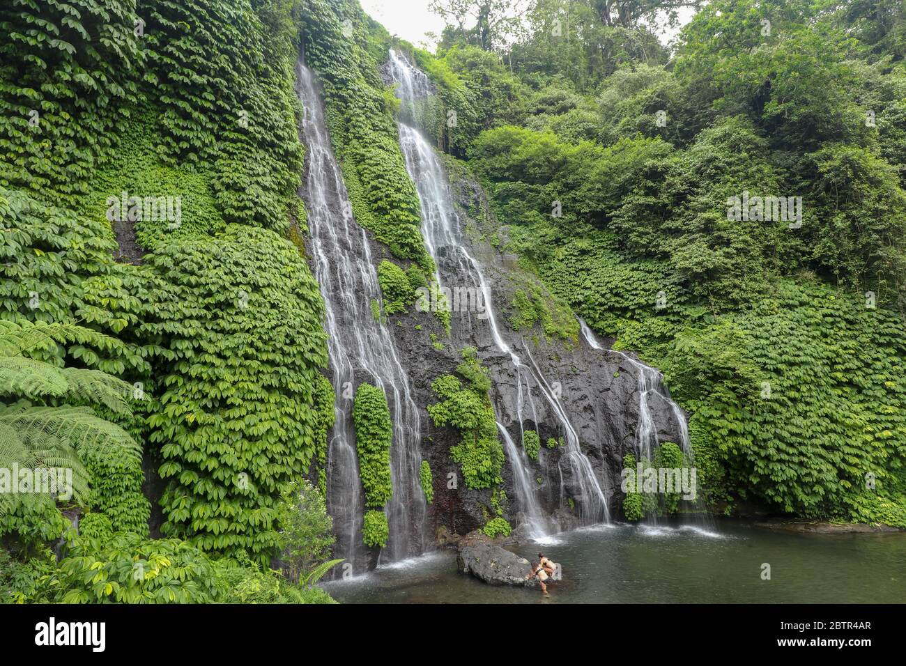 Secret jungle waterfall cascade in tropical rainforest with rock Stock ...