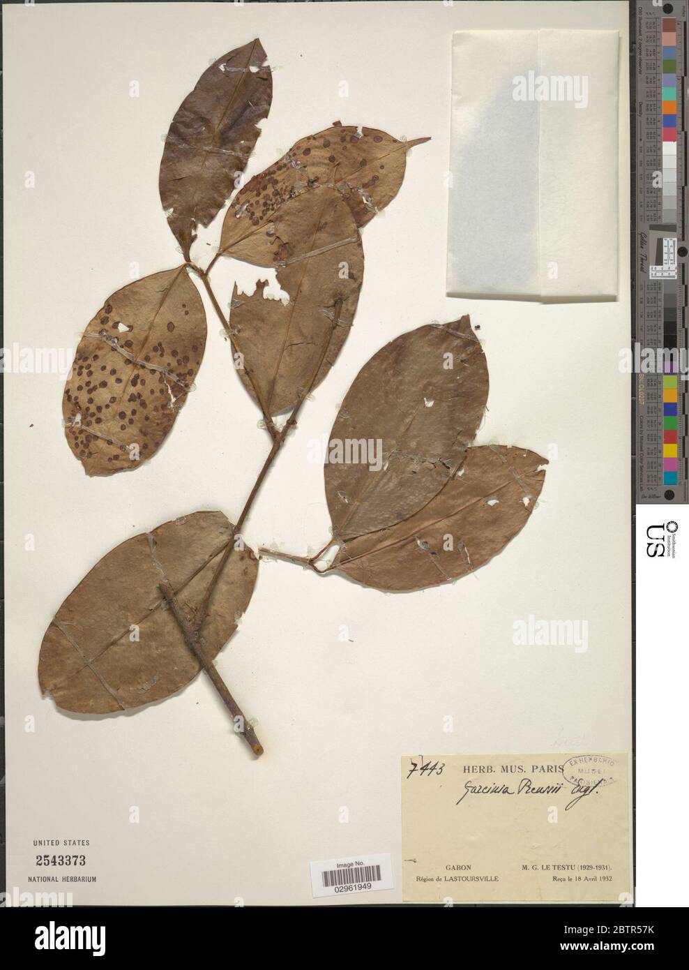 Preussii hi-res stock photography and images - Alamy