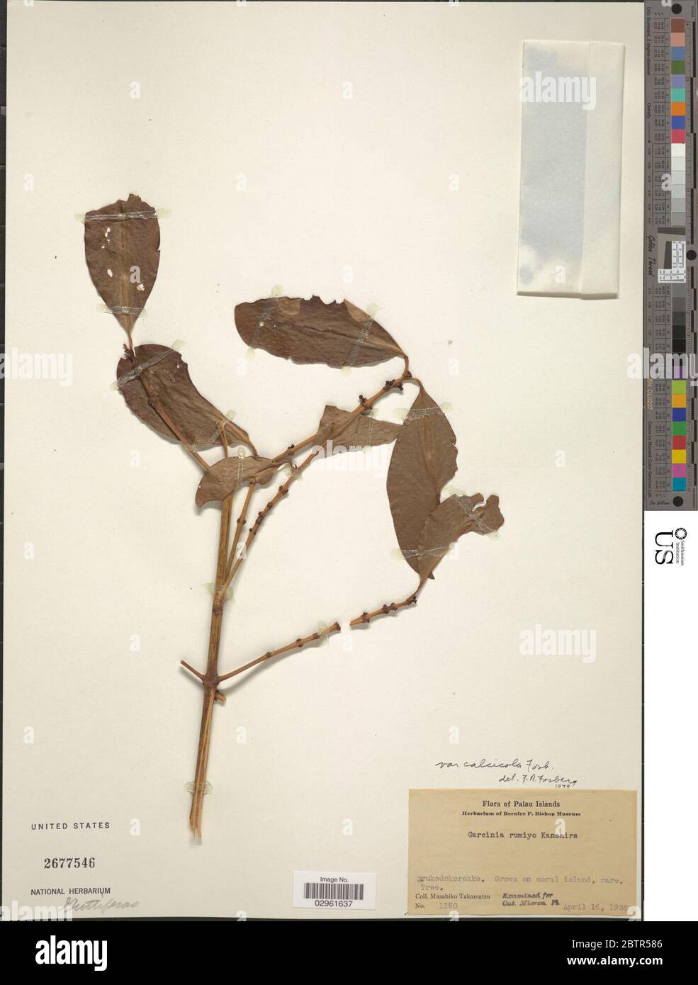 Kaneh hi-res stock photography and images - Alamy