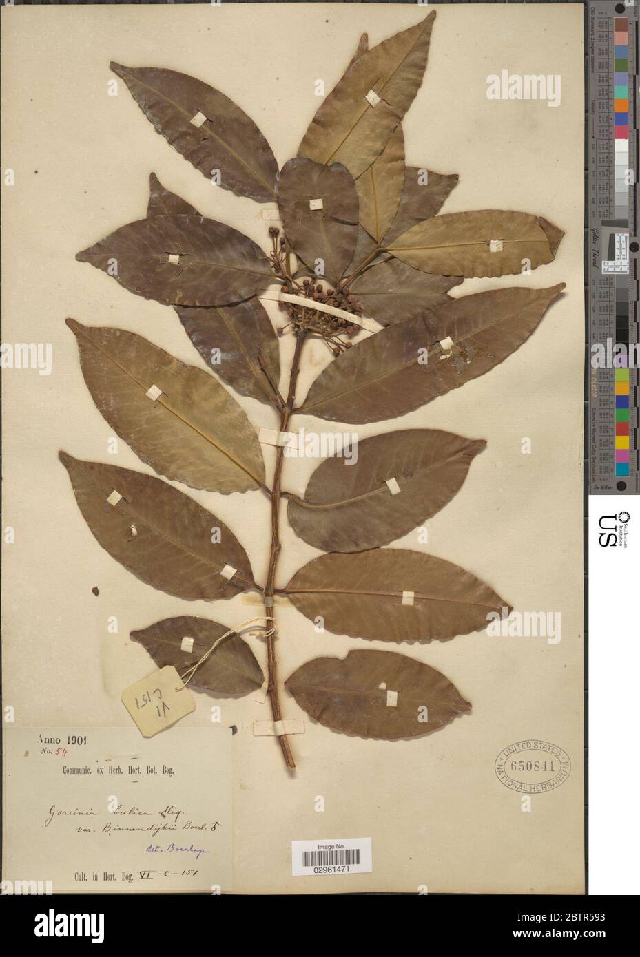 Balica hi-res stock photography and images - Alamy