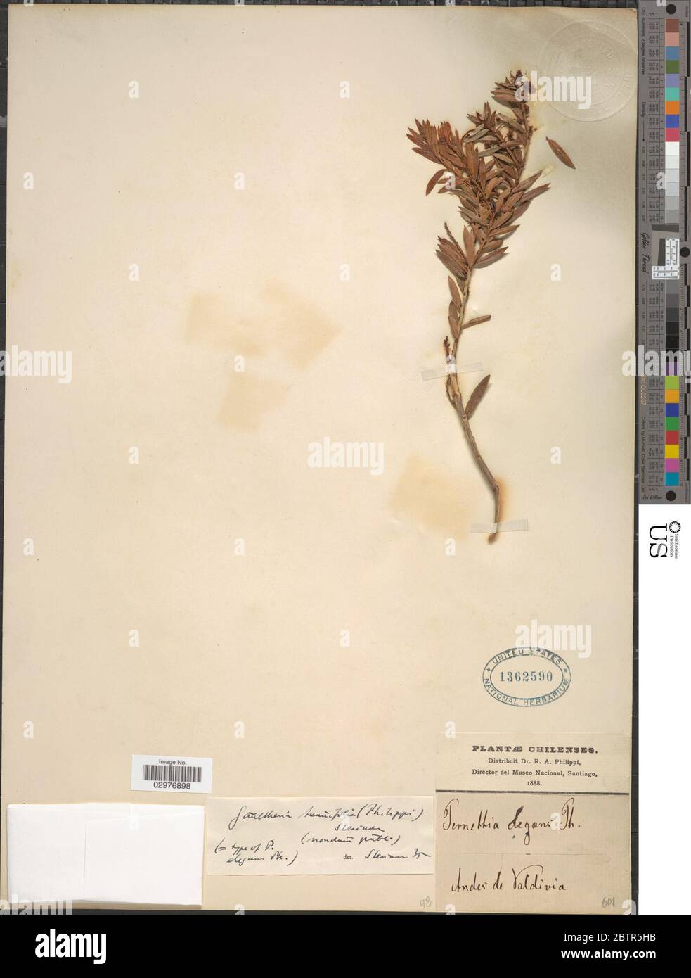 Sleumer High Resolution Stock Photography and Images - Alamy