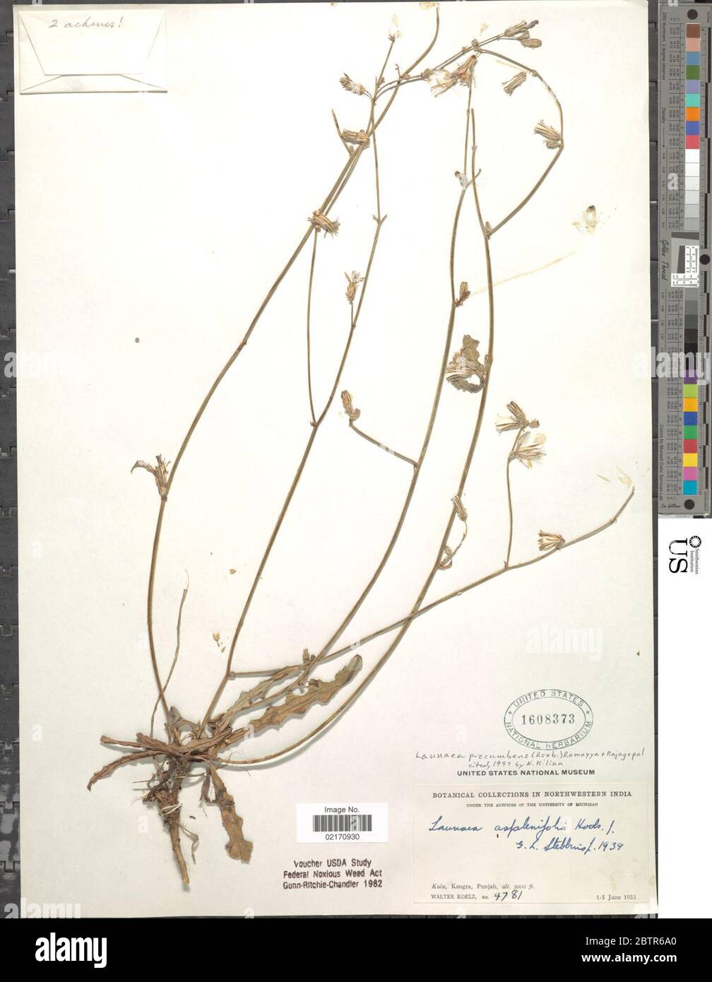 Rajagopal hi-res stock photography and images - Alamy