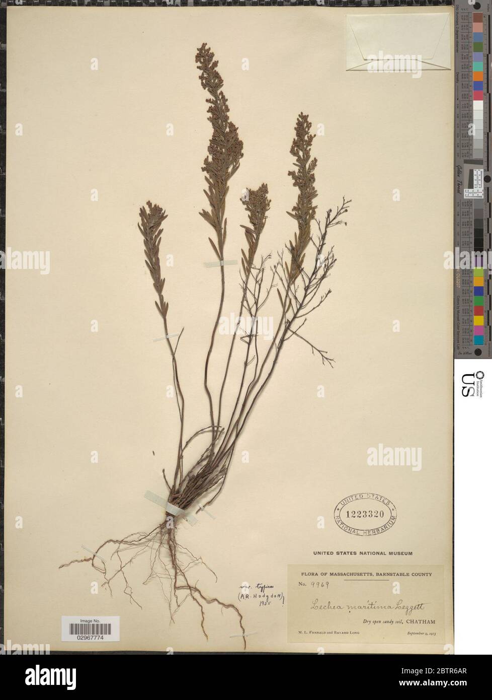 Hodgdon hi-res stock photography and images - Alamy