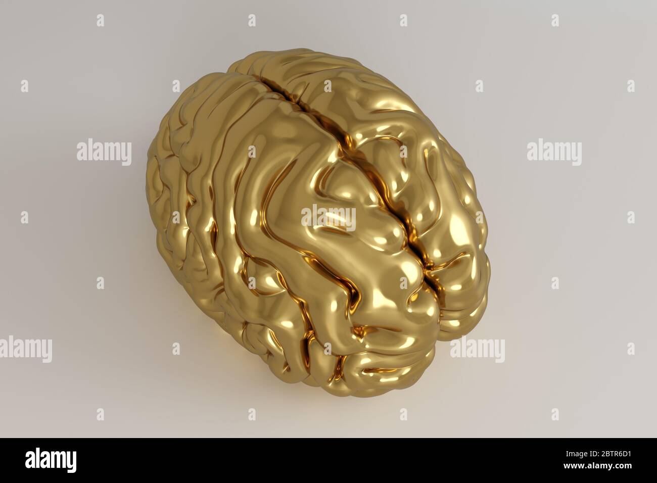Brains anatomy hi-res stock photography and images - Alamy