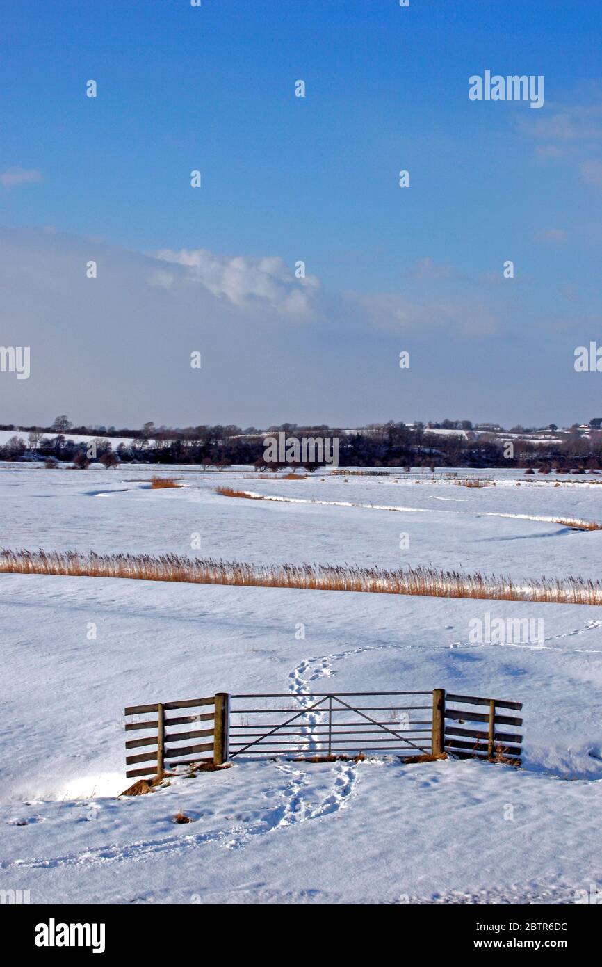 Frosty scenes hi-res stock photography and images - Alamy