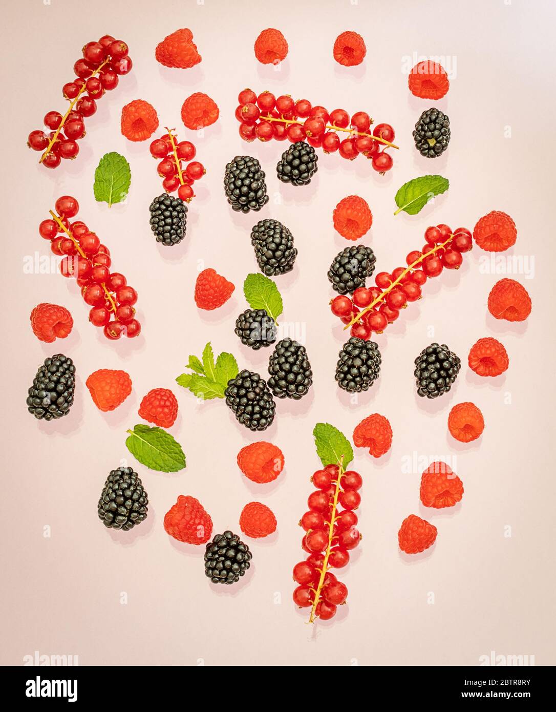 Light pink berries hi-res stock photography and images - Alamy