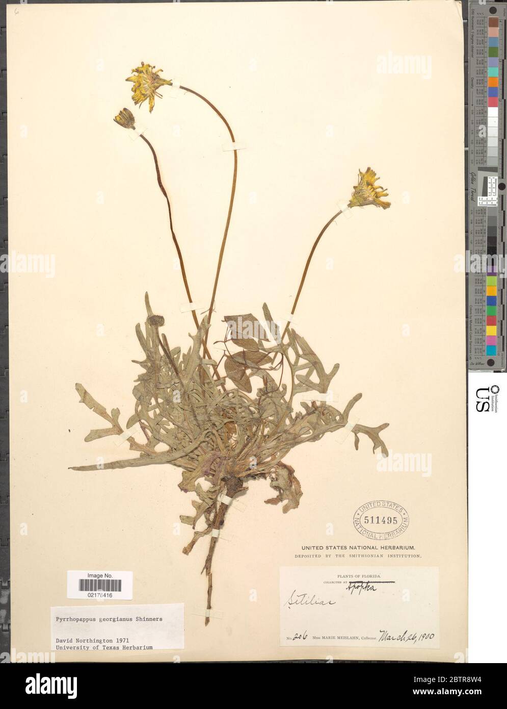 Shinners hi-res stock photography and images - Alamy