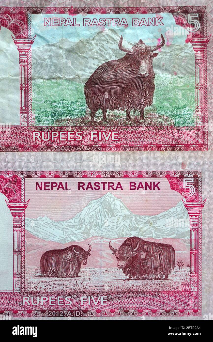 Nepalesische rupie hi-res stock photography and images - Alamy