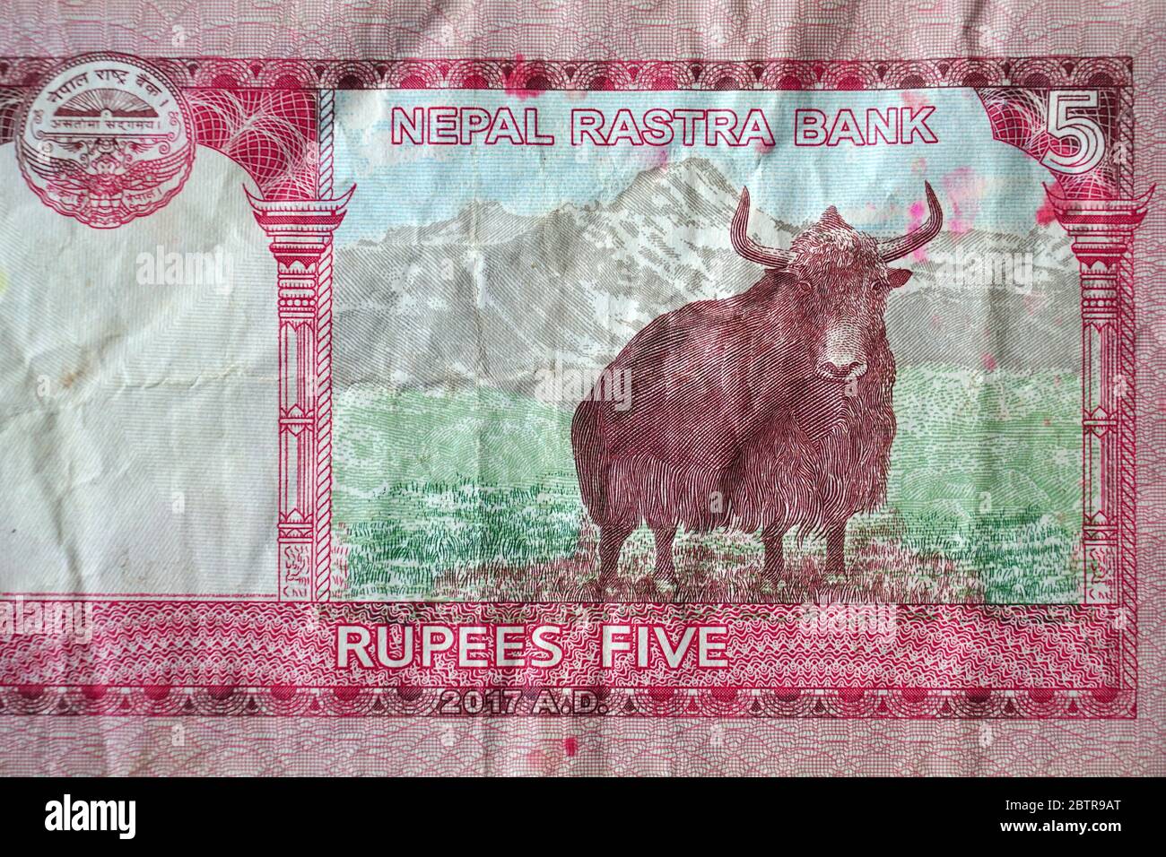 Nepali rupie hi-res stock photography and images - Alamy